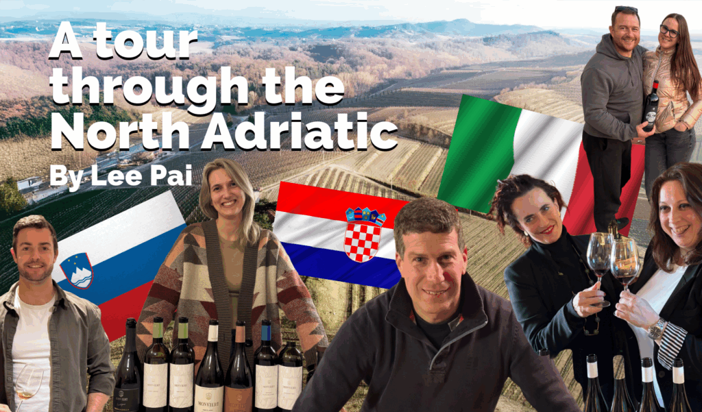 A tour through the North Adriatic – Grape Collective