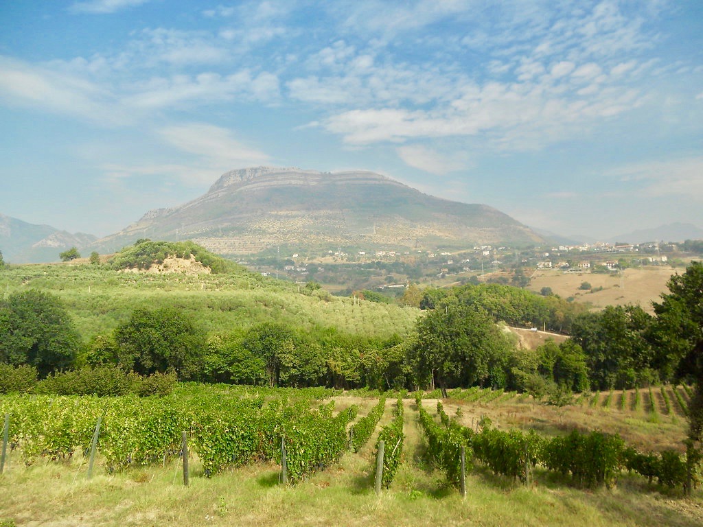 Campania: Volcanic Wines from Pompeii to Present Day – Grape Collective