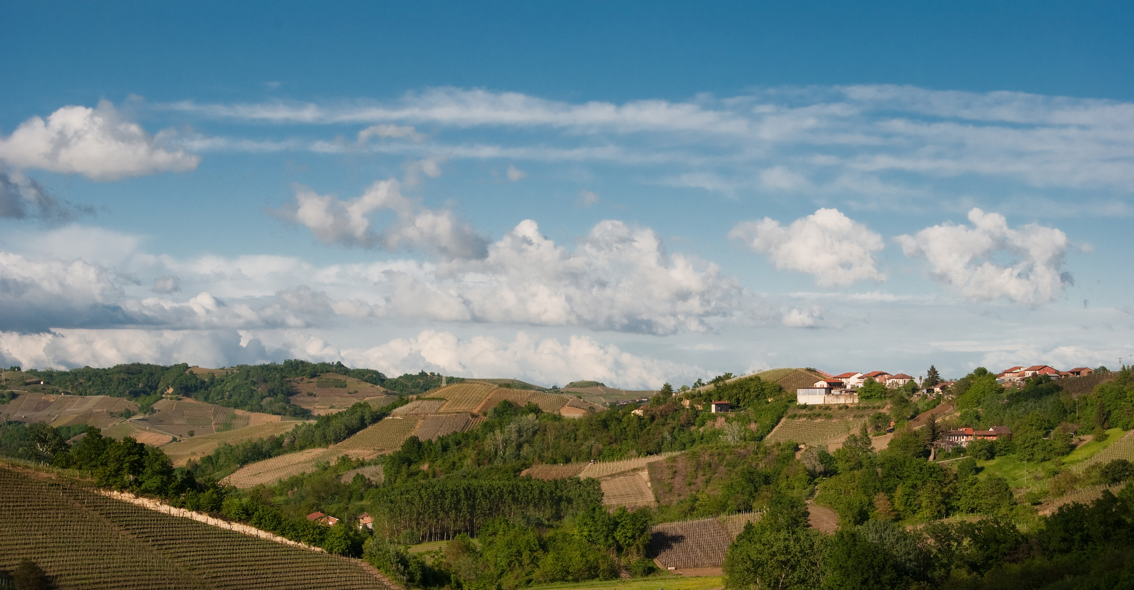 Roero and Roero Arneis: Emerging from Under the Barolo and Barbaresco ...