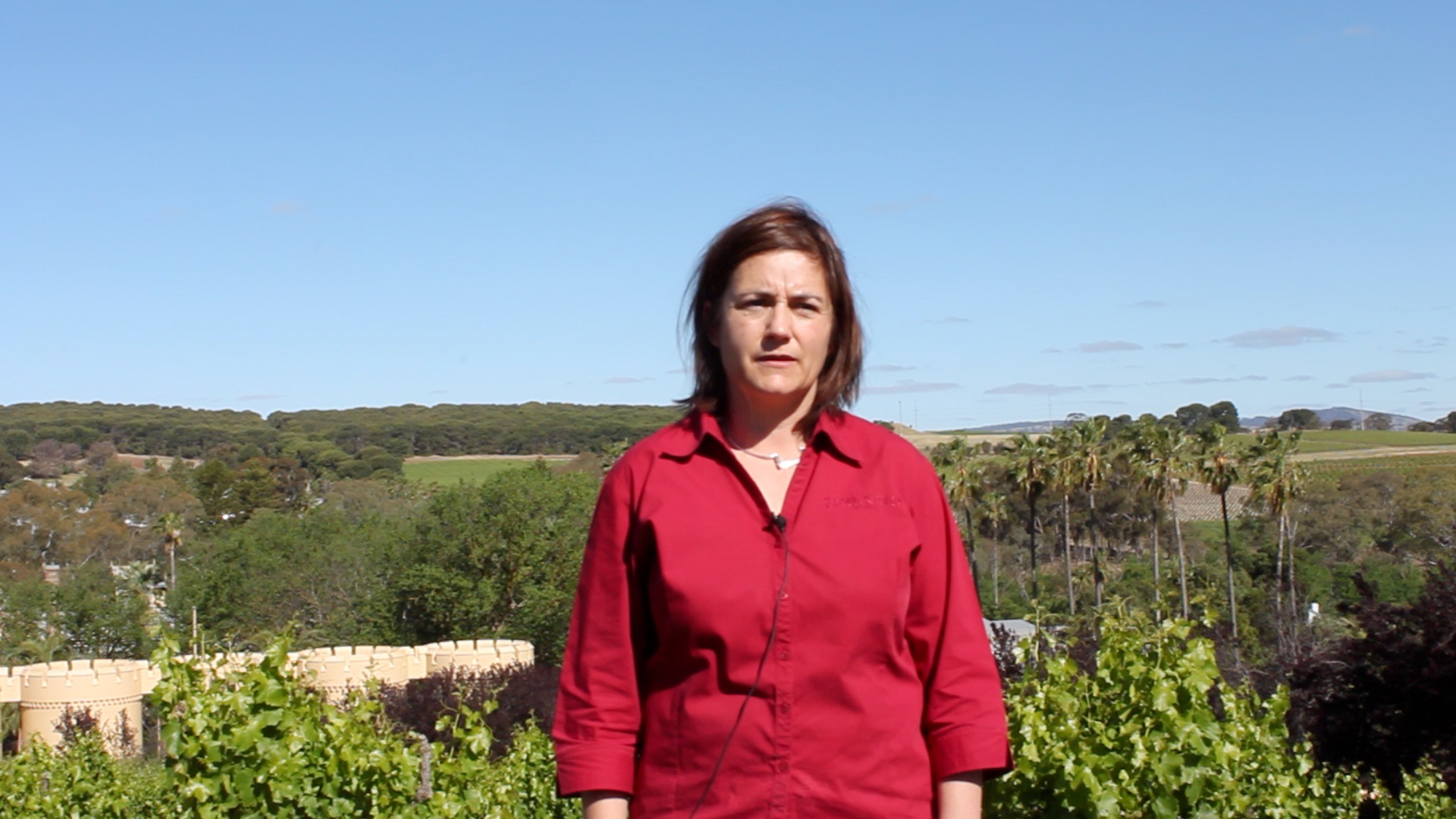 Fiona Donald, Seppeltsfield, Barossa Valley – Grape Collective